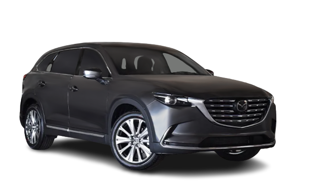 フィリピン運転手付レンタカーの料金【日本人運営】| NIPPI - フィリピンレンタカー