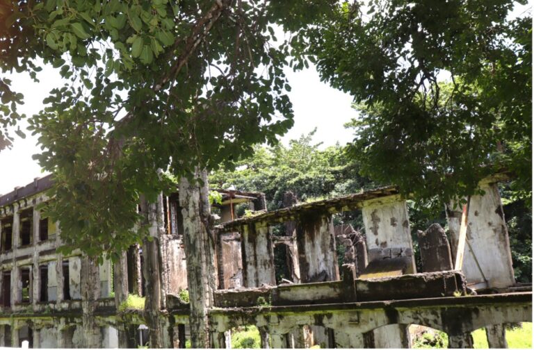 カビテ運転手付レンタカー【日本人運営】| NIPPI - フィリピンレンタカー