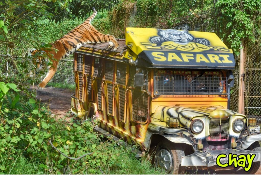 サンバレス（スービック）運転手付レンタカー 【日本人運営】| NIPPI - フィリピンレンタカー