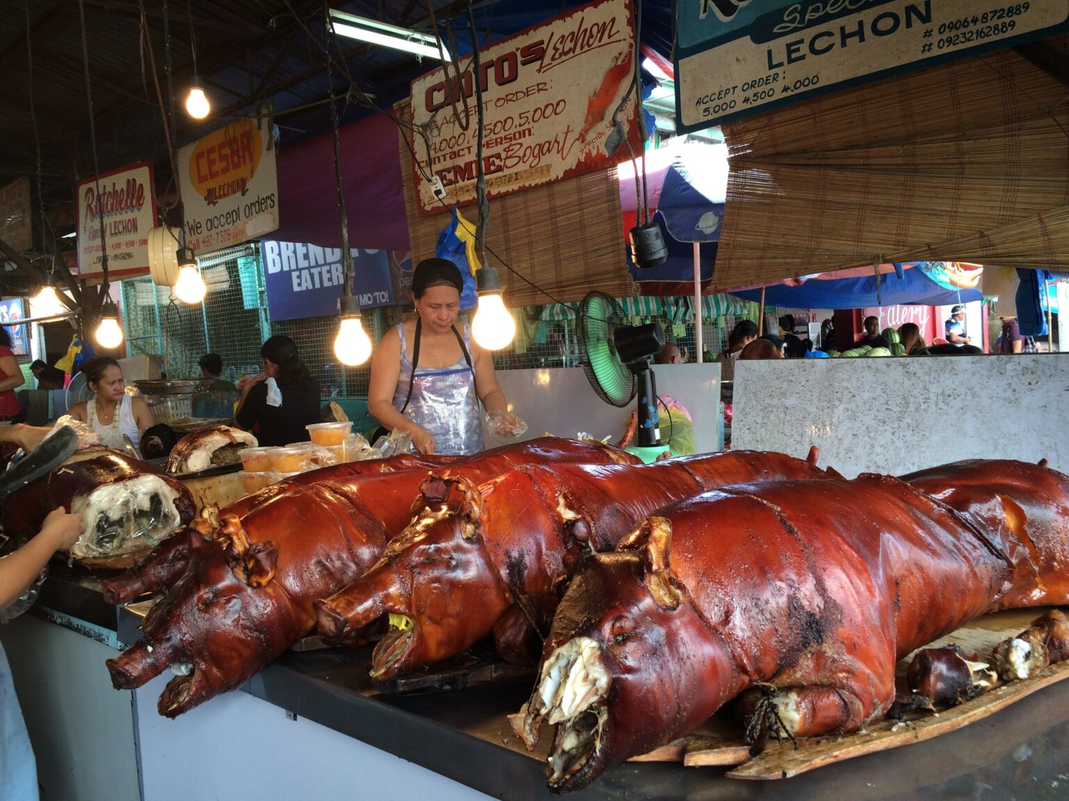 セブ島運転手付レンタカー 【日本人運営】| NIPPI - フィリピンレンタカー