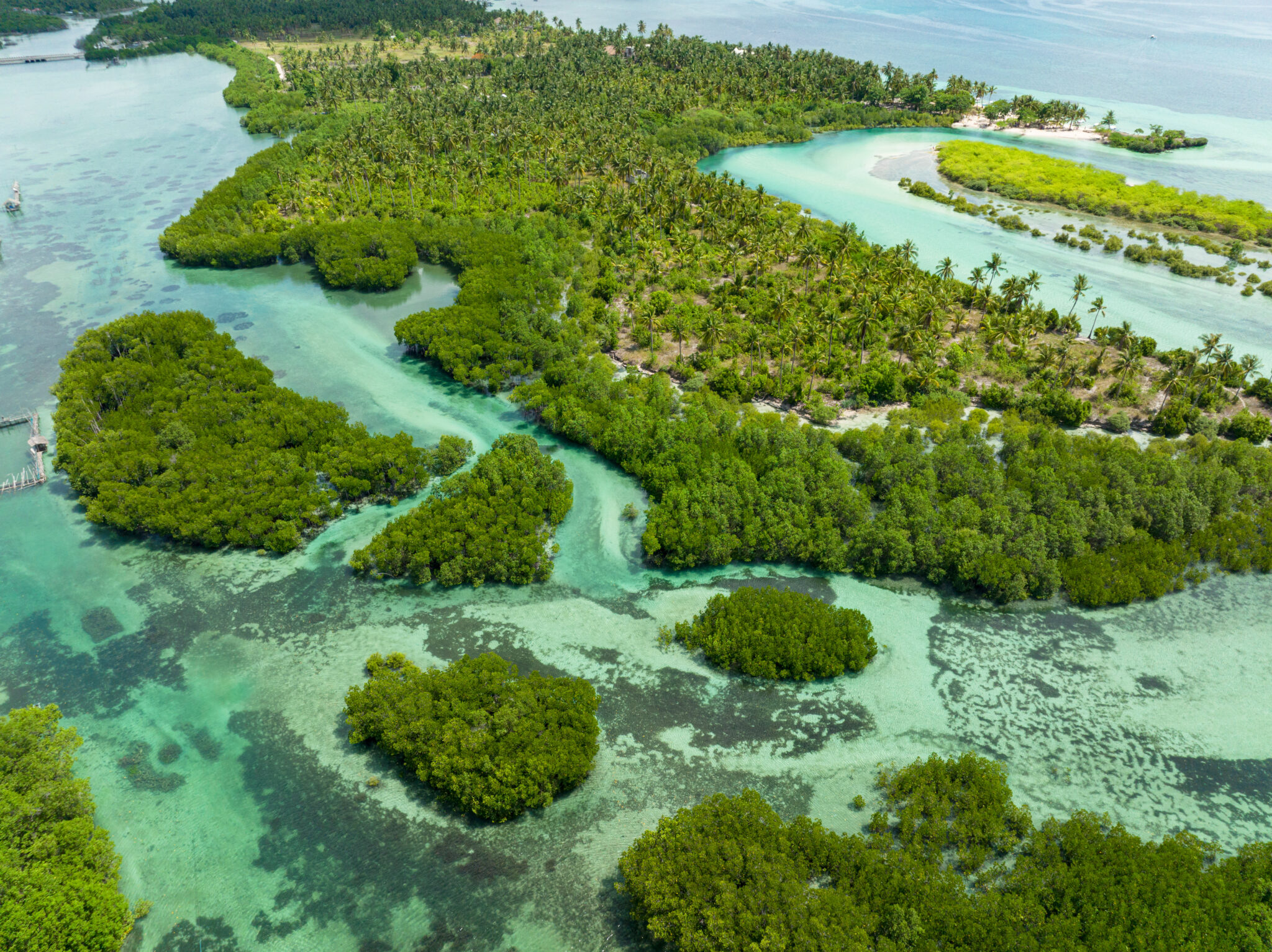 セブ島運転手付レンタカー 【日本人運営】| NIPPI - フィリピンレンタカー